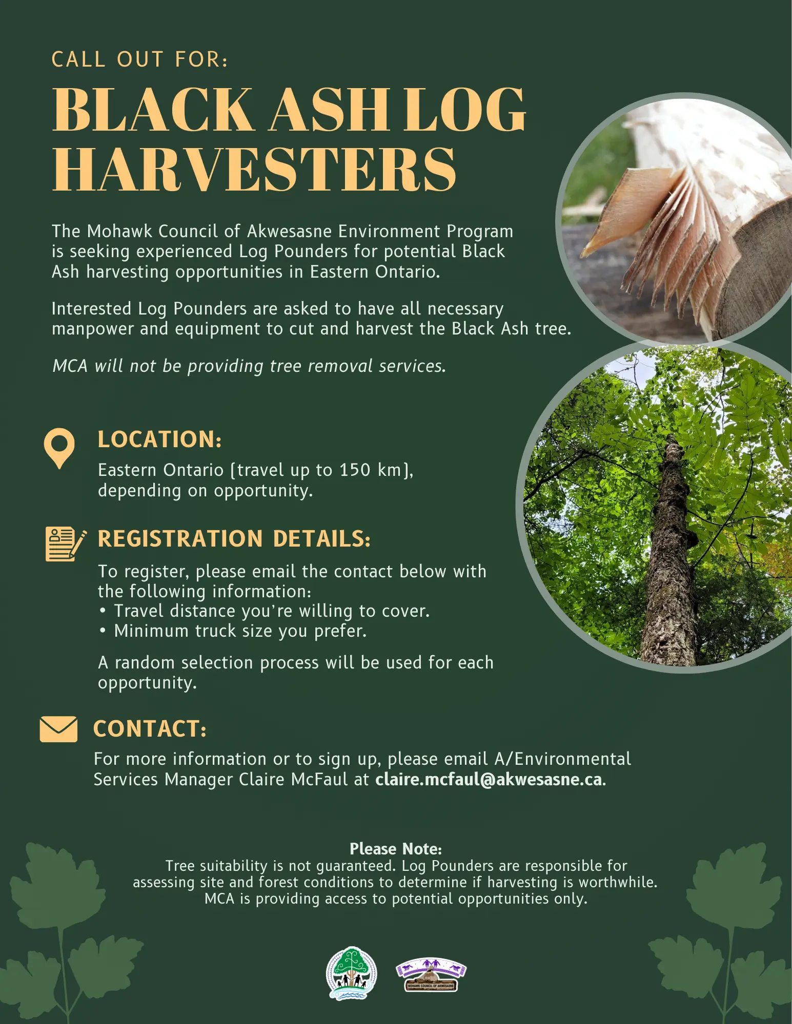 CALL OUT FOR BLACK ASH LOG HARVESTERS